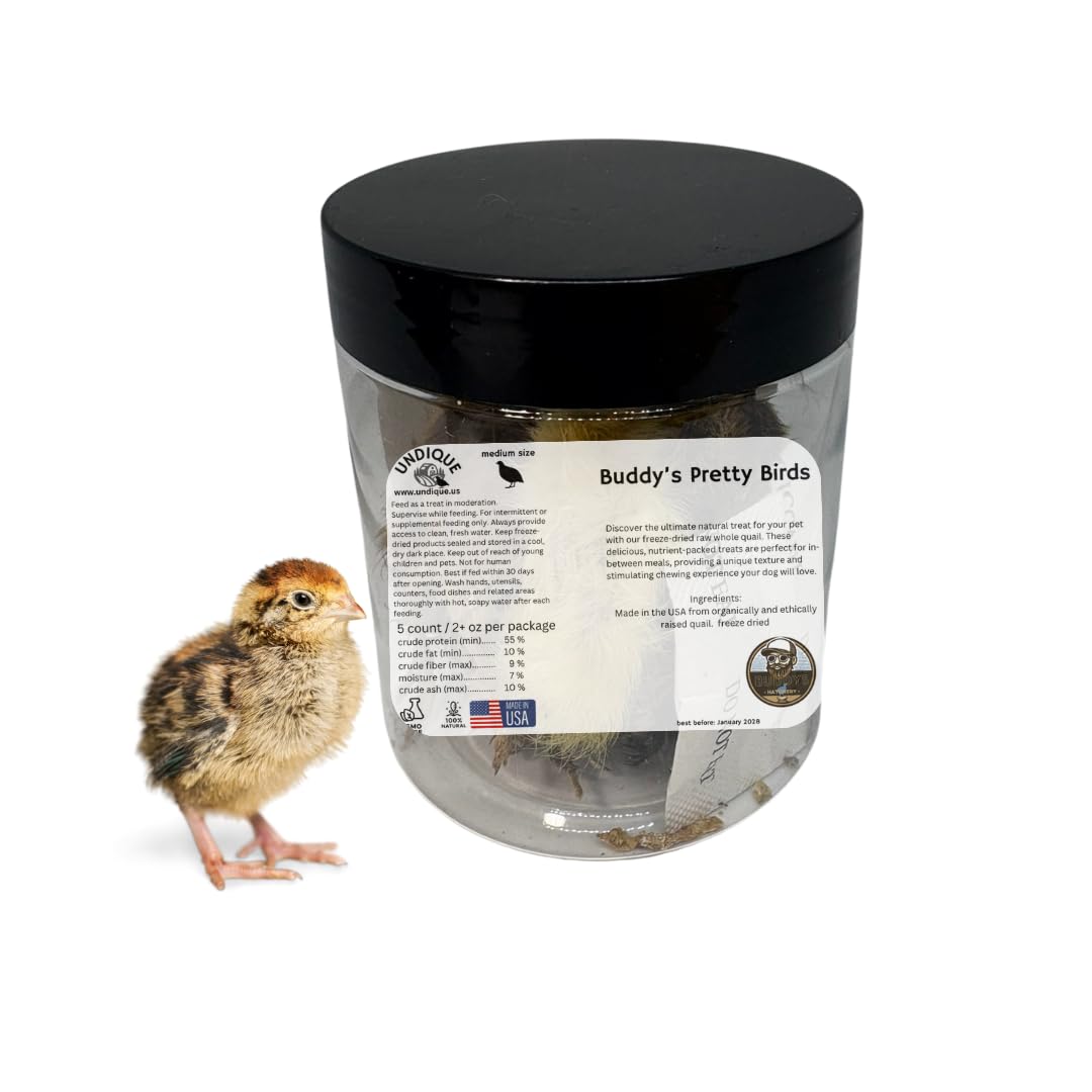 Whole Quail Chick for Carnivore Pets - Natural Prey Feeding - Quality ...