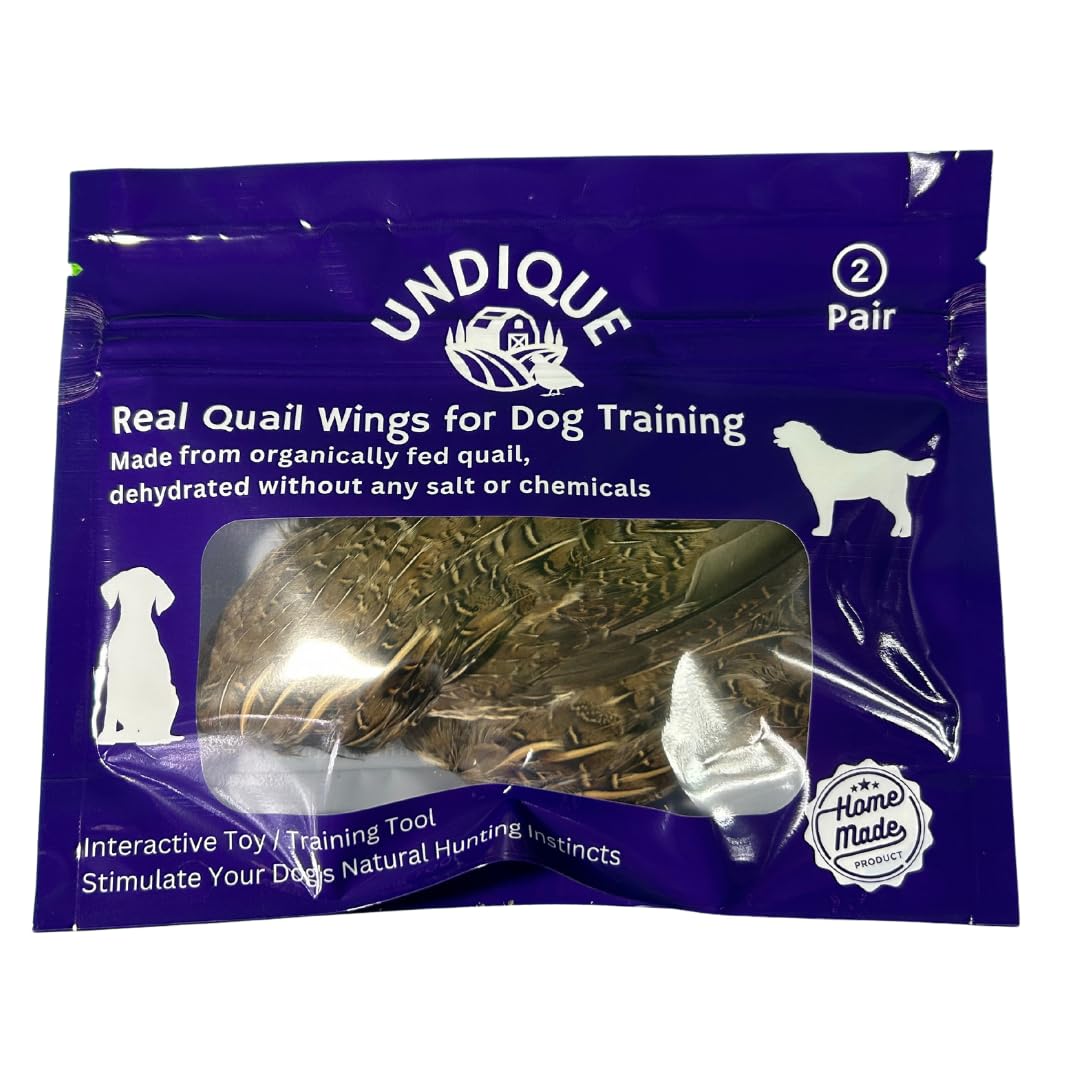 Real Quail Wings for Dog Training 2 Pair – Quailz.com by Undique LLC